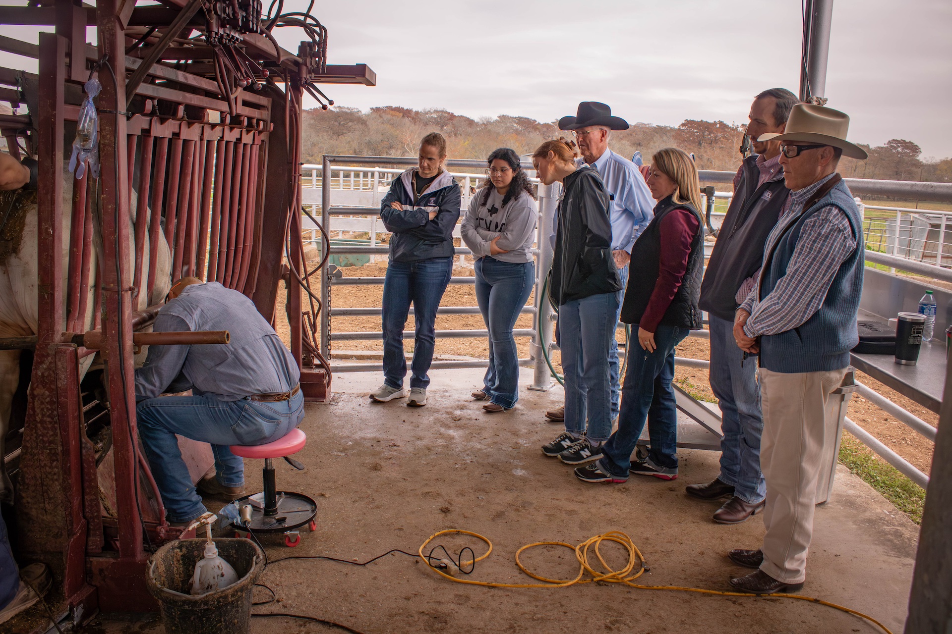 Outreach - Texas A&M Veterinary Medical Diagnostic Laboratory